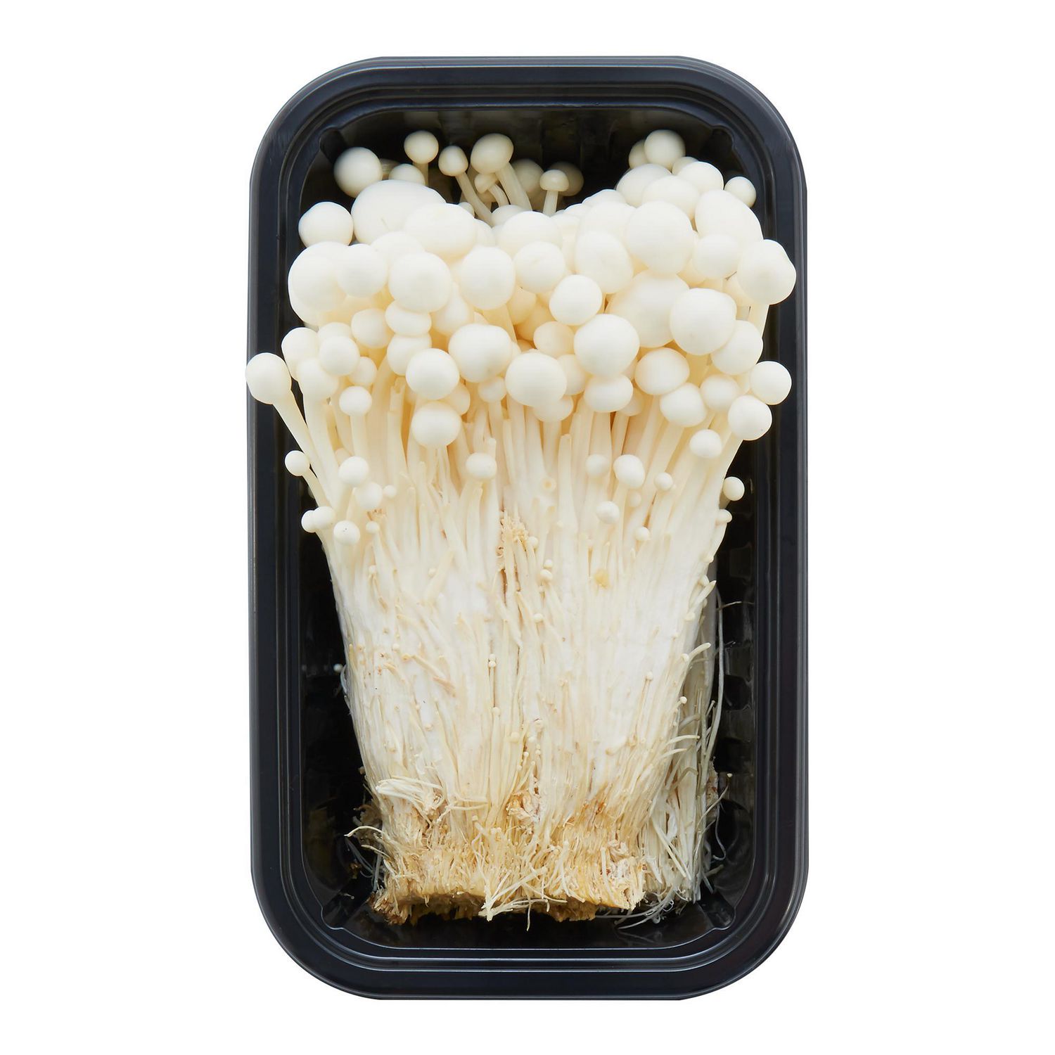 Enoki Liquid Culture - Mushroom Farm Supplies